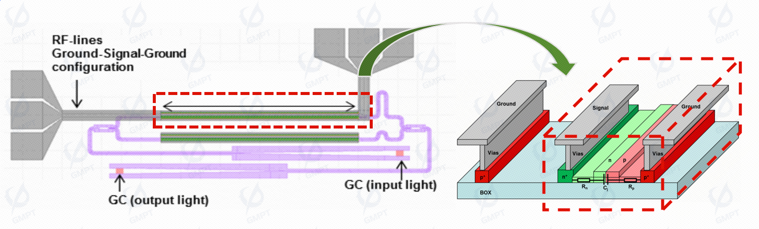 Silicon Photonic Devices | Products | GMPT